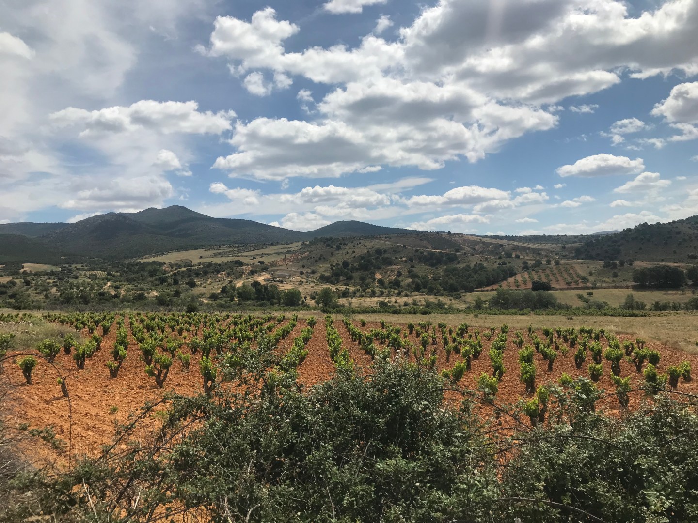 Albada: La tierra de Aragón – VinObjetivo