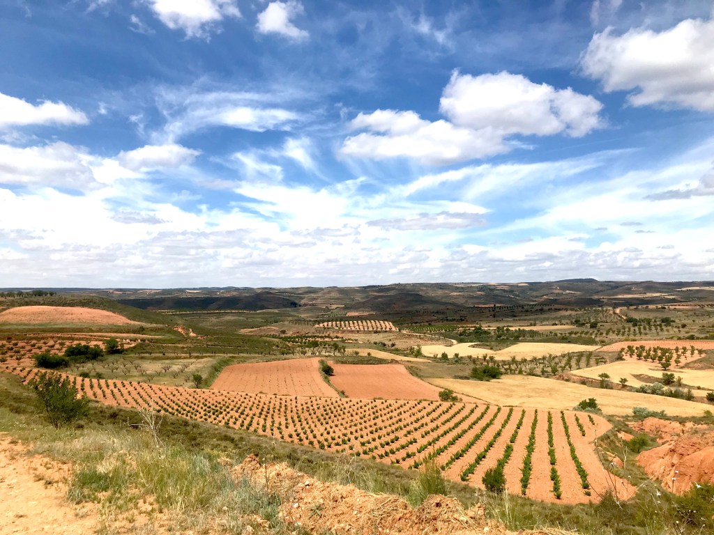 Albada: La tierra de Aragón – VinObjetivo