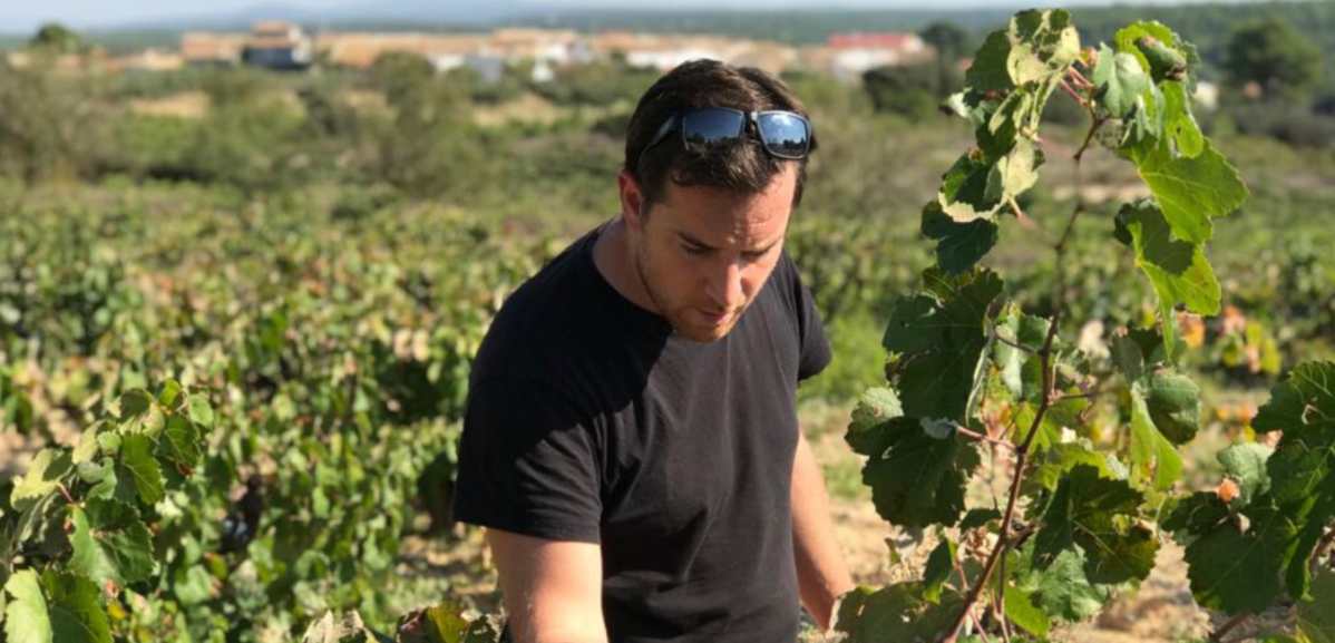 Alberto Padrón: el hombre que salvó una viña sentenciada – VinObjetivo