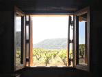Villota: la magia de la finca se convierte en la verdad del vino ...