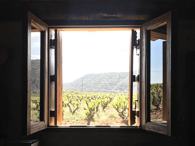 Villota: la magia de la finca se convierte en la verdad del vino ...