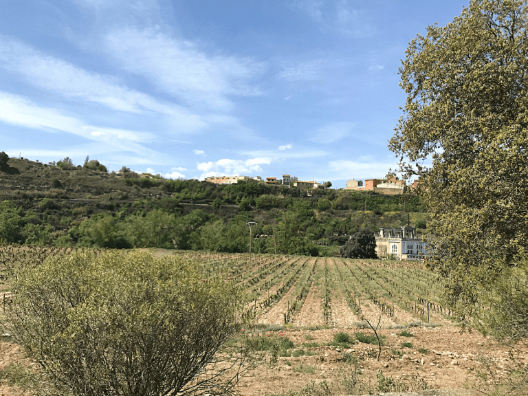 Villota: la magia de la finca se convierte en la verdad del vino ...