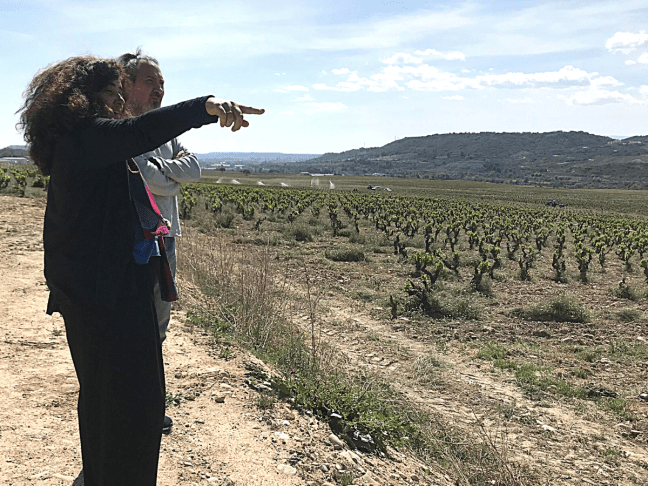 Villota: la magia de la finca se convierte en la verdad del vino ...