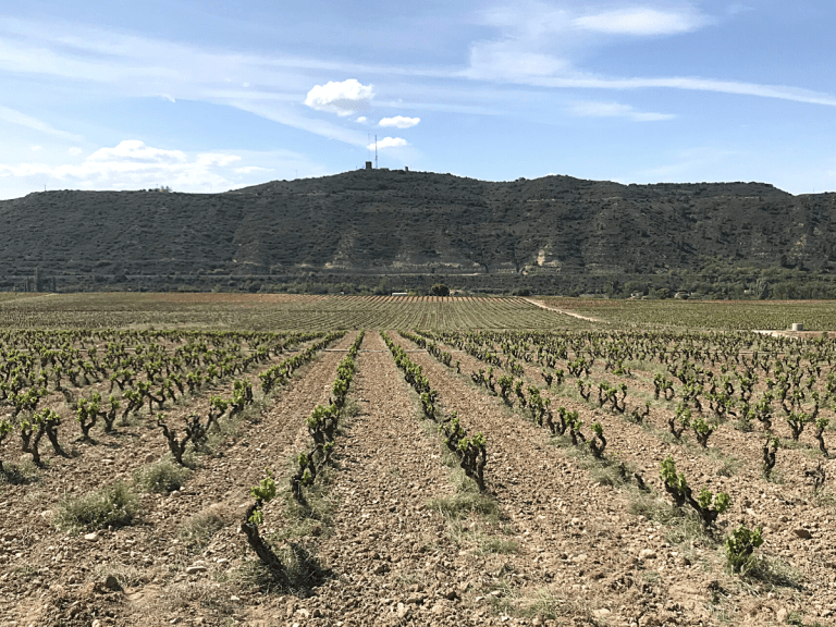 Villota: la magia de la finca se convierte en la verdad del vino ...