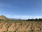 Villota: la magia de la finca se convierte en la verdad del vino ...